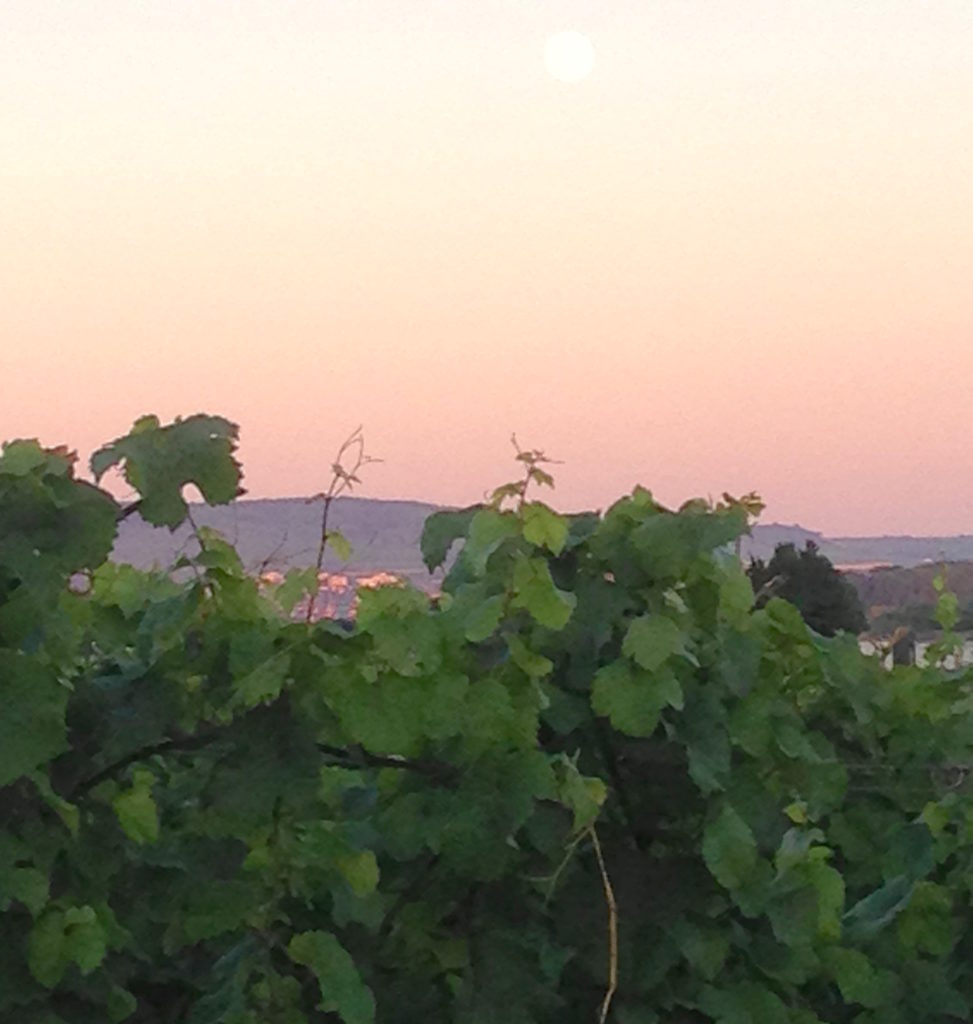 Sonnentuntergang2 - Learn German Smarter